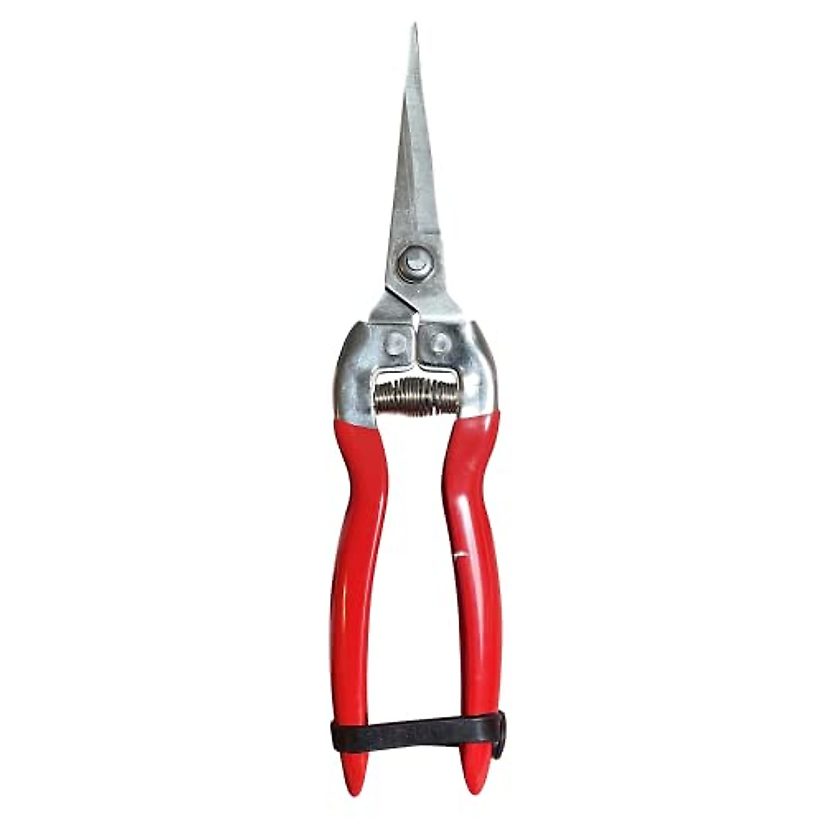 Garden Guru Straight Stainless Steel Pruner Pruning Shears Clippers Snips – Sharp Bonsai Plant Trimming Scissors – Straight Blade Garden Scissors Tool – Great for Roses Flowers Herbs Fruits