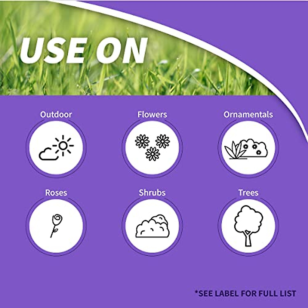 Bonide Rose Shield Systemic Rose & Flower Care, 6 lbs. Ready-to-Use Granules for Long Lasting Protection Against Garden Insects