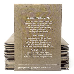 Baby Shower Party Favors for Guests - Baby in Bloom Seed Packets - Pink Floral Accents and Greenery - Already Filled - Pack of 20