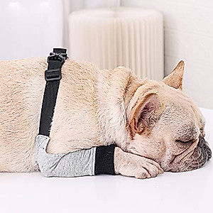 Tineer Dog Recovery Sleeve Protector Front Legs Joint Soft Padded Dog Brace Elbow Sleeve Pet Dog Leg Wounds Protection for Small Medium Dogs (L)