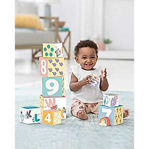 Skip Hop Infant Toy Nesting Blocks, ABC & Me