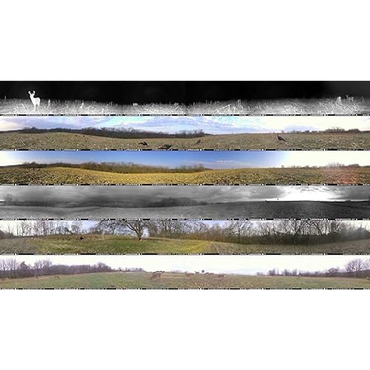 Stealth Cam Revolver 36MP Photo 1080P HD Video at 30 FPS 0.4 Sec Trigger Speed 360-Degree Panoramic View Built-in GPS Hunting Cellular Trail Camera, Verizon and AT&T