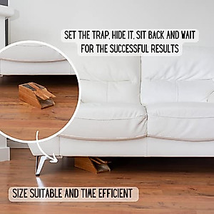 Kris Kounty Humane Mousetrap - Mice Go - Wood Made Durable Cage - Pinjra for Live Rat Catch, Release & Reuse - Best Size Suitable Rat Trap for Indoor & Outdoor Use