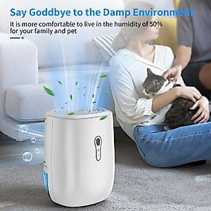 Dehumidifiers for Home, Small Dehumidifiers with Drain Hose(30OZ),2400 Cubic Feet (260 sq ft) Portable Dehumidifier for Room, Auto Shut Off, 30dB Ultra Quiet, Dehumidifiers for Bathroom, Basement,