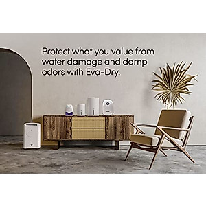 Eva-Dry Air Dehumidifier for Home – Portable Dehumidifier for Small & Medium Spaces Up to 2,500 Cubic Ft. – Quiet Dehumidifier for Basements, RVs, Bathrooms, Laundry Rooms, Campers, Bedrooms, & More