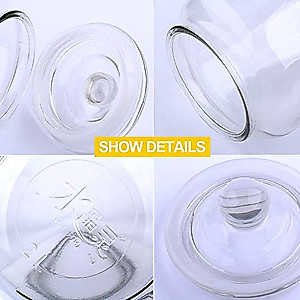 Glass Jars,Candy Jar with Lid For Household,Food Grade Clear Jars - 1/2 Gallon (3)
