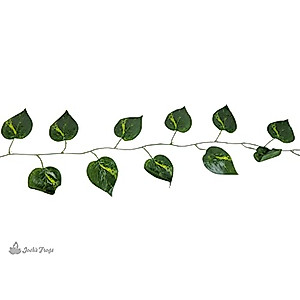 Josh's Frogs Artificial Evergreen Reptile Vine