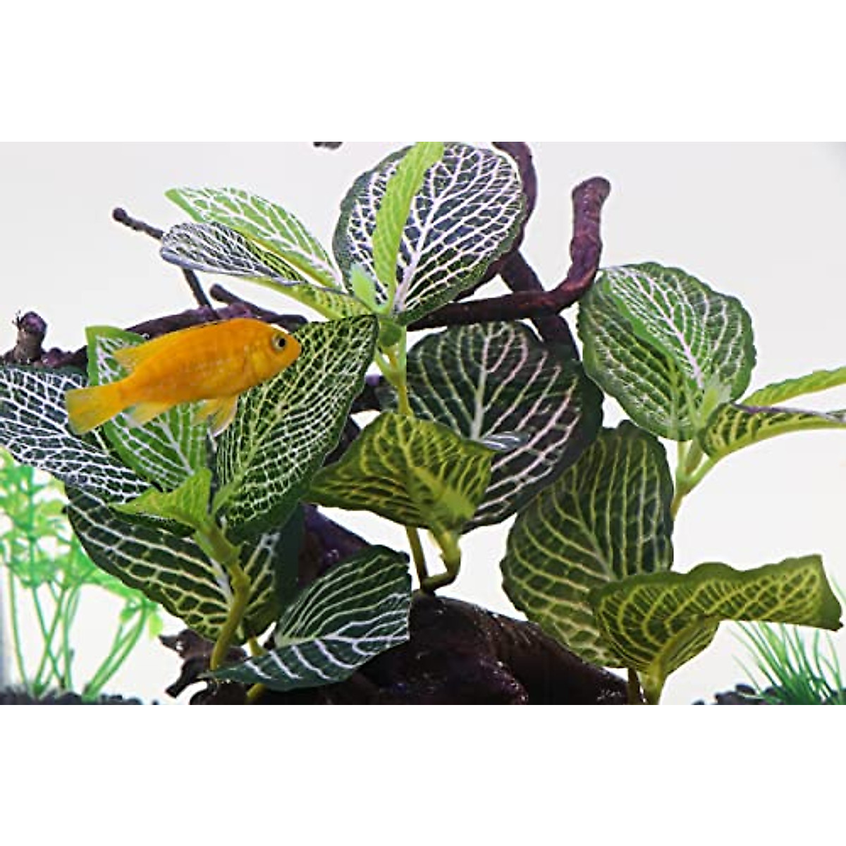 AQUA KT Reptile Terrarium Forest Tree with Plant Leaves for Amphibian Habitat Décor Lizard Snake Turtle Supplies