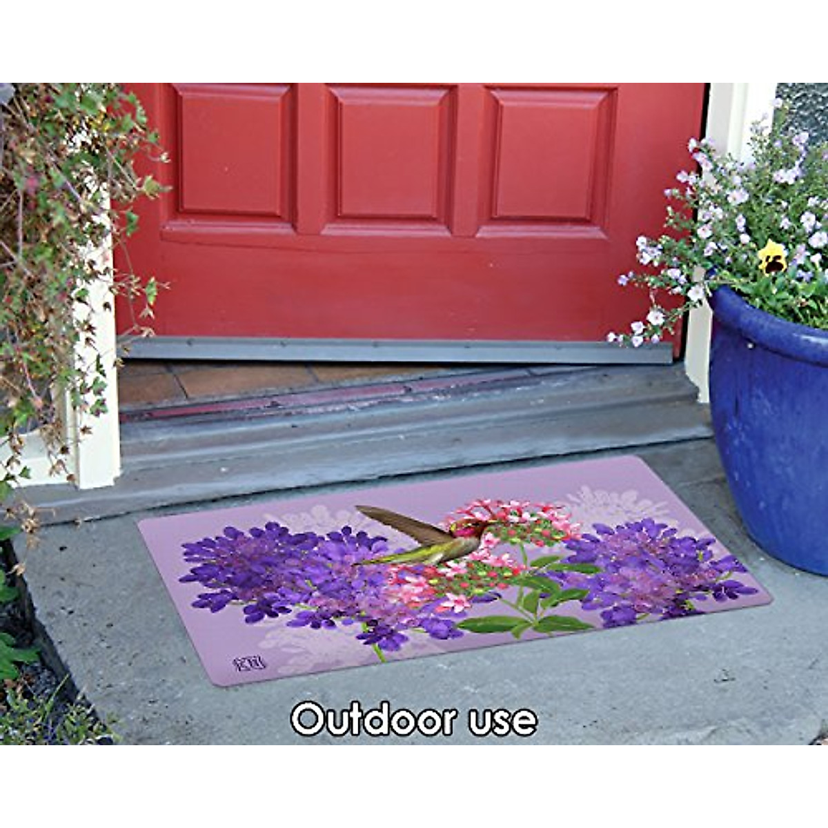 Toland Home Garden 800238 Hummingbird and Flowers Summer Door Mat 18x30 Inch Bird Outdoor Doormat for Entryway Indoor Entrance