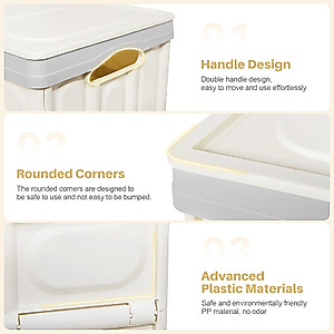 Homde 30L Collapsible Plastic Crates Storage Container with Lids 2 Pack Stackable Storage Bins with Secure Buckles for Clothes, Toy, Grocery, Camping and Garage (30L, White)