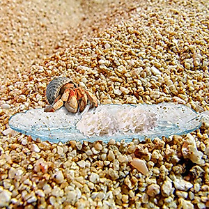 JANKOW 1 Pair DIY Handmade Long Leaf-Shaped Reptile Food Water Bowl, Plate Dish for Tortoise, Snake, Hermit Crab, and Chameleon for Drinking and Eating