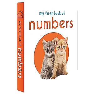 My First Library : Boxset of 10 Board Books for Kids