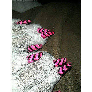 Warren London Pawdicure Dog Nail Polish Pen | Non Toxic, Odorless, & Fast Dry | Made in USA | Neon Pink