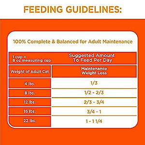 IAMS PROACTIVE HEALTH Adult Healthy Dry Cat Food with Chicken Cat Kibble, 22 lb. Bag