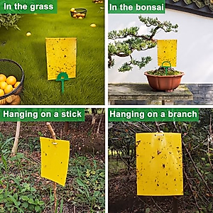 20 Sheets Sticky Fly Traps, Dual-Sided, for Flying Insect, Indoor and Outdoor, 8x6 Inch, Yellow