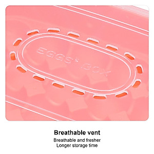 24 egg tray, egg carton, shell design, breathable ventilation, visible from the kitchen Orange