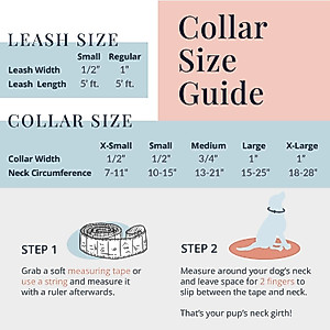 Lucky Love Dog - Easy Click Buckle Dog Collar with Leash Set Combo, Durable & Comfortable Collar for Male & Female Dogs, Pet Collar for Small to Large Dogs, Secure Fit - Blackbird Combo, Small