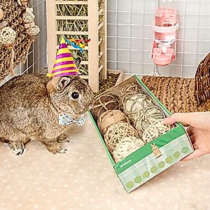 andwe Small Animals Play & Activity Balls Rolling Chew Toys for Rabbits Guinea Pigs Chinchilla