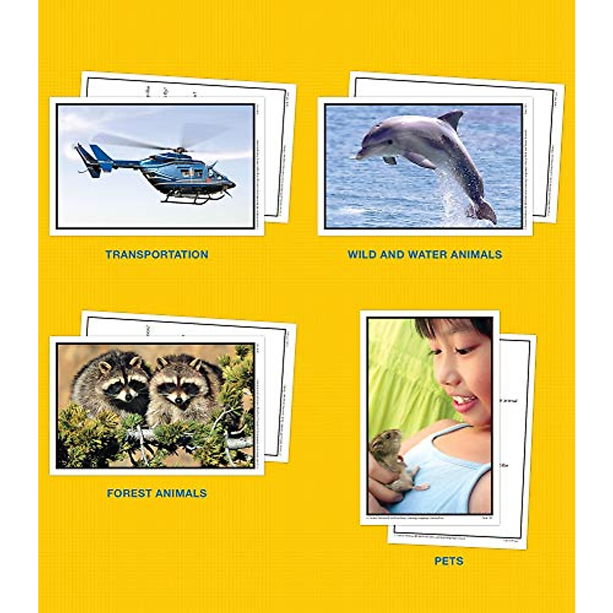 Key Education 160 Early Learning Toddler Flash Cards Ages 3+, Photographic Vocabulary Flash Cards for Toddlers, Toddler Speech Therapy Flash Cards for Preschool &amp; Kindergarten Special Learners