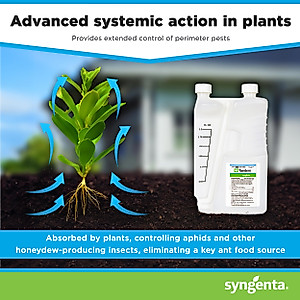 Tandem Insecticide Quart