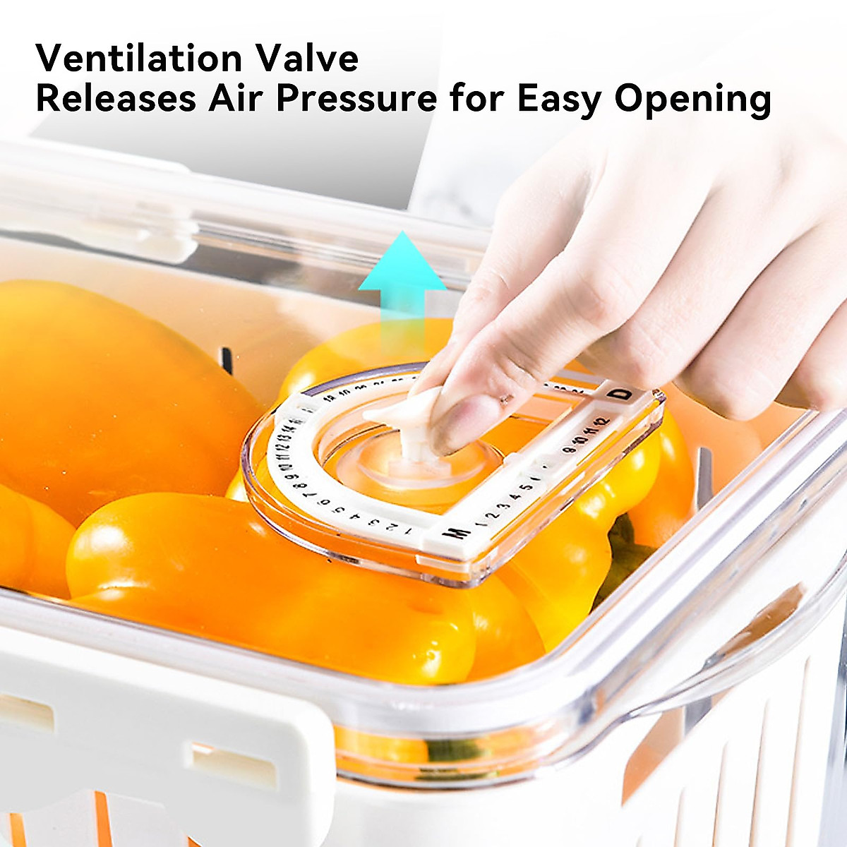 Oiperiey 3-Pack Fridge Vegetable and Fruit Storage Containers, Creative Timer Refrigerator Drain Storage Box, BPA-Free Kitchen Storage Box with Ventilation Holes to Keep Food Fresh