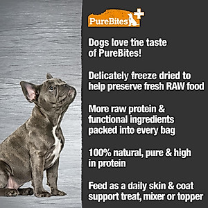 PureBites+ Skin & Coat Freeze Dried Dog Treats, 5 Ingredients, Made in USA, 3oz