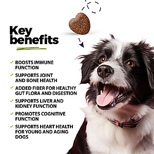 ANP Super Multi-Vitamin, Natural No Animal Proteins, 60 Soft Chews for Dog Gut Health and Immune System, CoQ10, Probiotics 5M CFUs and Glucosamine