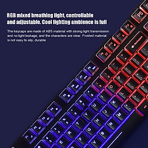 USB Gaming Keyboard, Quick Response Backlit Keyboard 104 Keys Wired One Piece Design High and Low Key Design RGB Lighting Effect for Gaming for Office for Home(H600 black characters-single keyboard)