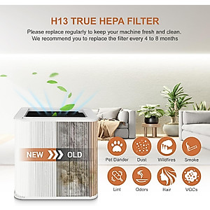 211+ Replacement Filter Compatible with Blueair Blue Pure 211+ Air Cleaner Purifier, H13 Hepa Foldable Filter and Activated Carbon Replacement Filter 2 Pack