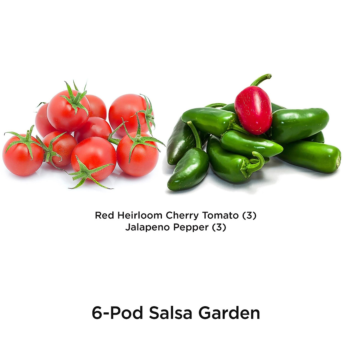 AeroGarden Salsa Garden Seed Pod Kit (6-pod)