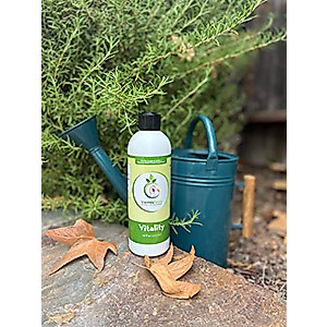 VermisTerra Vitality 16 oz - Worm Castings Super Concentrate, Plant Food, Fertilizer - Promotes Health, Amazing Growth for Vegetables, Fruit, Houseplants - Non-Toxic, Gentle - Will Not Burn