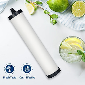 PERCOLA FRC06 Cartridge, Compatible with FRCNSTR/FRC06, FRCNSTR100/FRC06 filter cartridge and Franke Still Pure Under-Sink Filtration System, 2 Pack