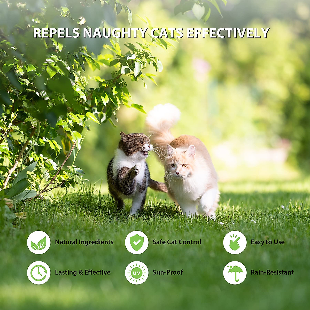 MAGIC CAT Cat Repellent Outdoor, 12 Pack Peppermint Oil Cat Deterrent Indoor for Home to Protect Furniture Curtain Pet Family Safe, Dog Repellent to Keep Feral Cats Stray Dogs Out of Yard Garden Lawn