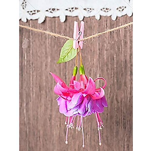 DurReus Tiny Clothes Pins Colorful Hang Up Photographs Drawings Party Clips Decor Baby Shower Game with Twine Pack 50 Pink
