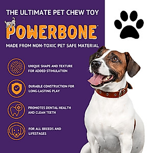 Power Bone Pet Chew Toy for Dogs - Durable, Non Toxic & Pet Safe - Best for Aggressive Chewers, Long Lasting Dental Health, Dog Teeth Cleaning, Dog Life Stages - Twist Tail 6''