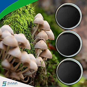 ES EVVIVA SCIENCES Prepoured Black Potato Dextrose Agar Plates – Includes Both Black Dye & Charcoal - Enhanced Culture Visualization - Excellent Growth Medium - Great for Mushrooms & Science Projects