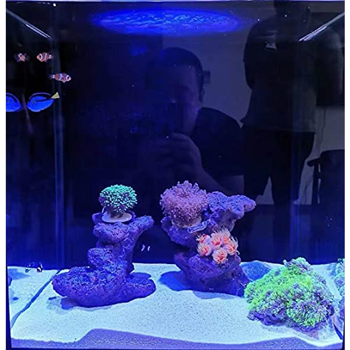 Aquarium Choice Big Size Ceramic Coralline Coral Frag Plugs Coral frag Plate Base