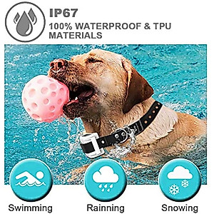 Wireless Dog Fence Electric Pet Containment System Boundary Container,with Waterproof Training Collar Receiver,Adjustable Range 80-1640 ft,Rechargeable,Harmless for Dogs,for All Dogs,for3dogs