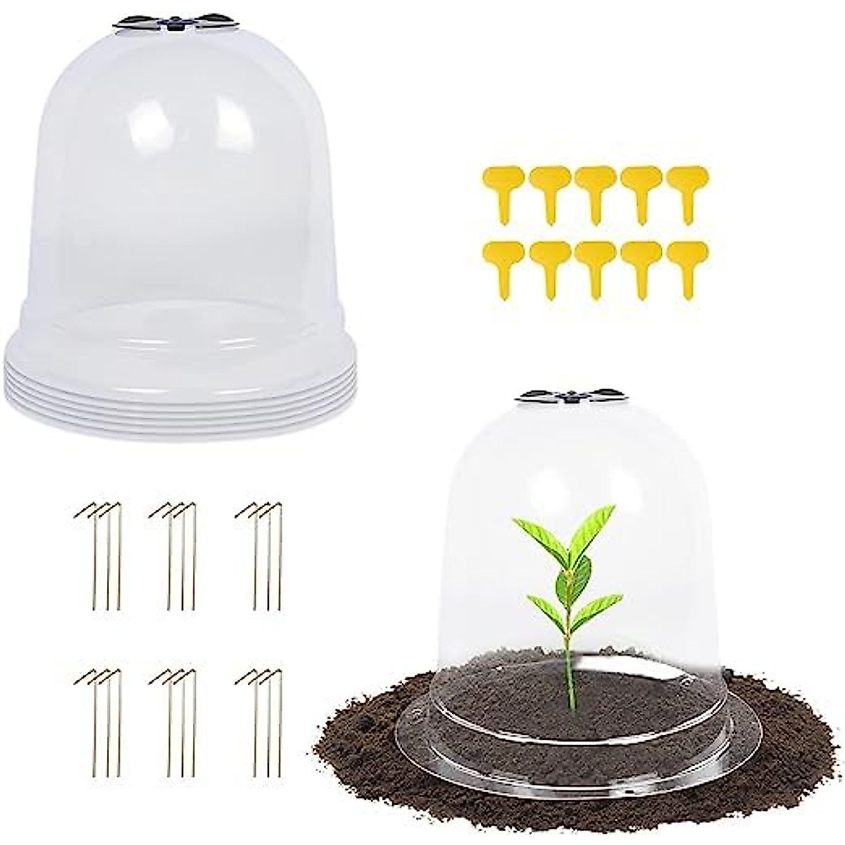 Baoz 6 Pack Garden Cloche Plant Bell Cover Humidity Dome Plant Protector Cover Plastic Mini Greenhouse with 18Pcs Metal Stakes and 10Pcs Labels for Seed Starter(10.24" H x 8.26" D)