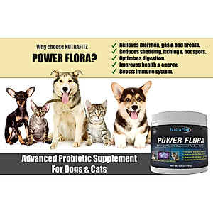 Power Flora - Probiotics for Dogs and Cats with 9 Live Strains - Dog Probiotics Improves Dog Breath, UTI, Diarrhea, Constipation, Skin Allergy, Hot Spots - Odorless Powder - 350 Billion CFU/jar