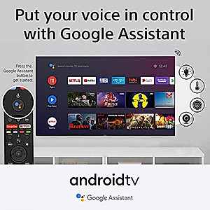 Sony XBR-48A9S 48-inch MASTER Series BRAVIA OLED 4K Smart HDR TV - 2020 Model (Renewed)