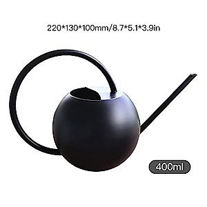 BDGWOIP Indoor Outdoor Watering Can, Stainless Steel Flower Cans Long Spout Plants Water Can Mini Device Plant Waterer for House Bonsai Garden Flower, Black, (33B15G0KNRFXX291L8GAWKSO)