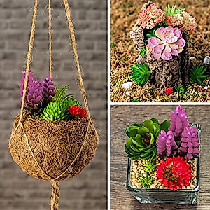 Housenior 24 Mini Artificial Succulent Plants Unpotted : Fake Succulents Picks Realistic Plastic Cactus Stems for Terrarium Bulk Small Faux Assorted Arrangements Flocked Greenery