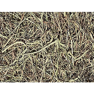 FPS Fox Peak Timothy Hay Rabbits, Guinea Pigs, Chinchilla Food (10+ lb.)