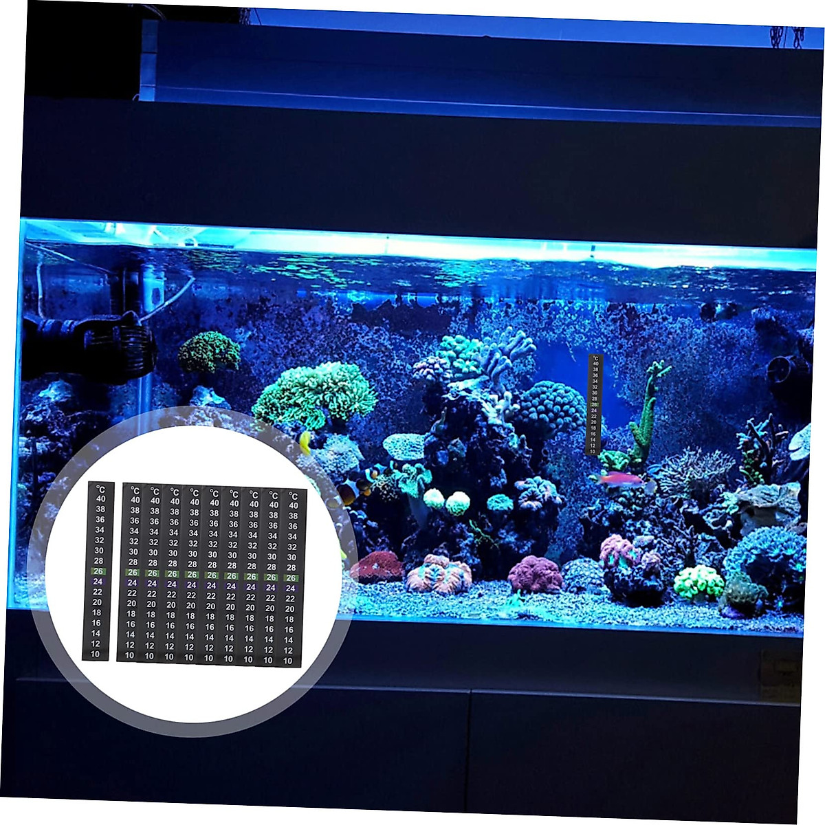 NOLITOY 40 Pcs Fish Tank Temperature Sticker Aquarium Temperature Meter Disposable Strips Stick on Sticker for Temperature Fever Forehead Body Temperature Sticker Wine Bottle Paper Brew