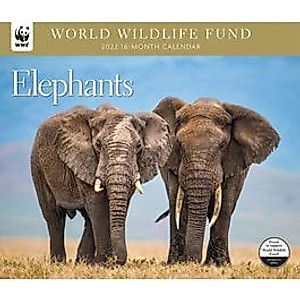 2024 WORLD WILDLIFE FUND ELEPHANTS WALL CALENDAR WITH 2 FREE YEAR PLANNERS (20 DOLLAR VALUE)
