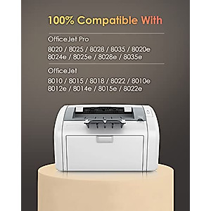 Gappitv 910 Black Ink Cartridge 910XL Black Ink Cartridges Replacement for 910 XL for 910XL Ink Cartridges Compatible for OfficeJet Pro 8025 8025e 8020 8035 8028 8028e 8035e Printers (2 Black)