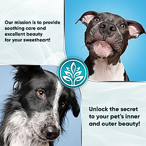 Wound Care For Dogs with Colloidal Silver | Dog Wound Spray | Dog Wound Care and Skin Support | + Chlorhexidine | Bites, Scratches, Irritations | Wound Spray for Dogs is Great With A Dog Cone | 4 Oz