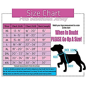 Custom Pet Basketball Jerseys for Dog & Cat,Personalized Pets Basketball Jersey Shirt with Name Number,Basketball Team Clothes (New York Blue)