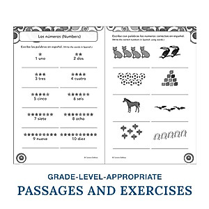 Carson Dellosa Skill Builders Grades K–5 Spanish Workbook for Kids, Spanish Vocabulary Builder for Kids Ages 5-11, Kindergarten―5th Grade Workbook, Learn Spanish Numbers, Alphabet, Vocabulary & More
